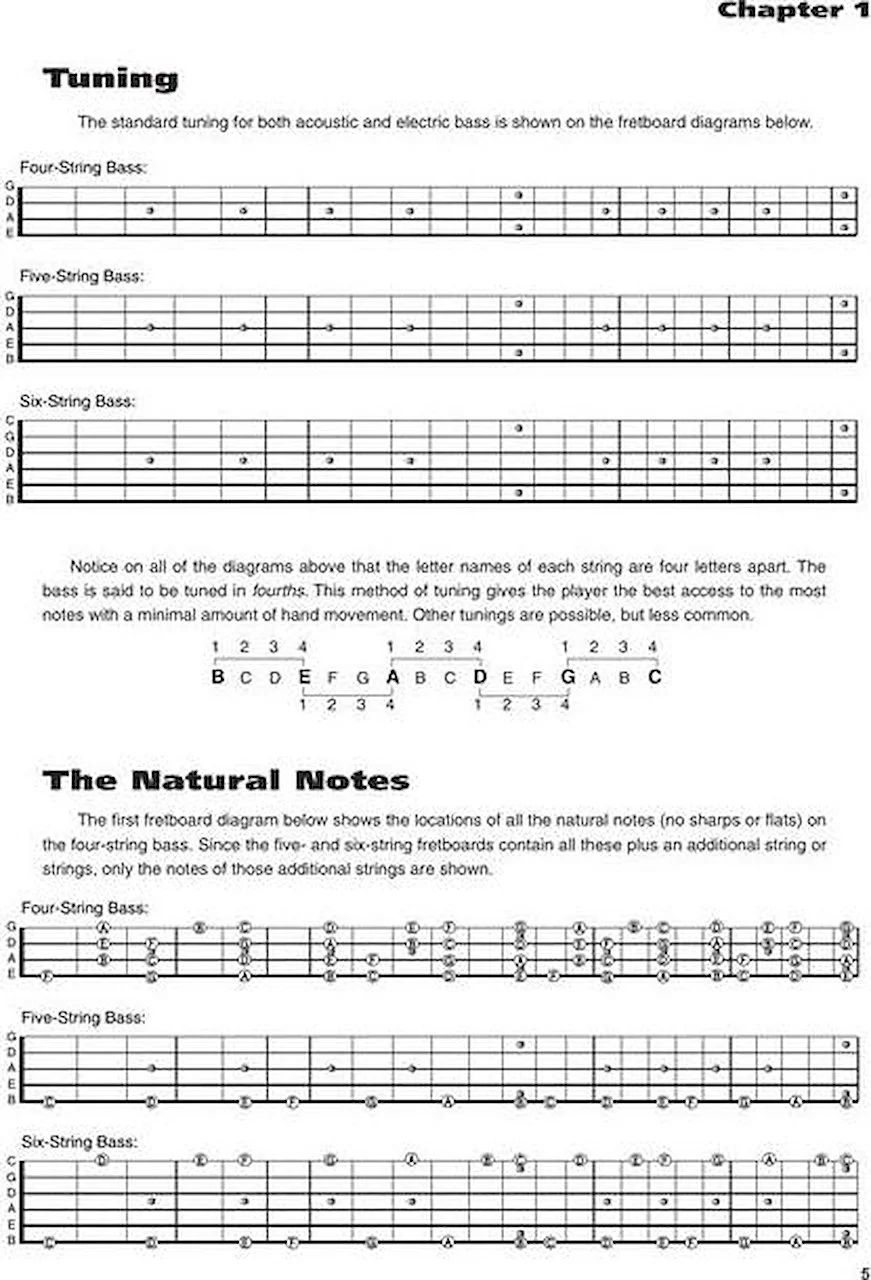Bass Fretboard Basics - Essential Scales, Theory, Bass Lines ...