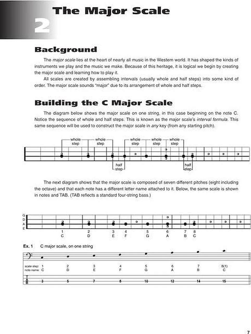Bass Fretboard Basics - Essential Scales, Theory, Bass Lines ...