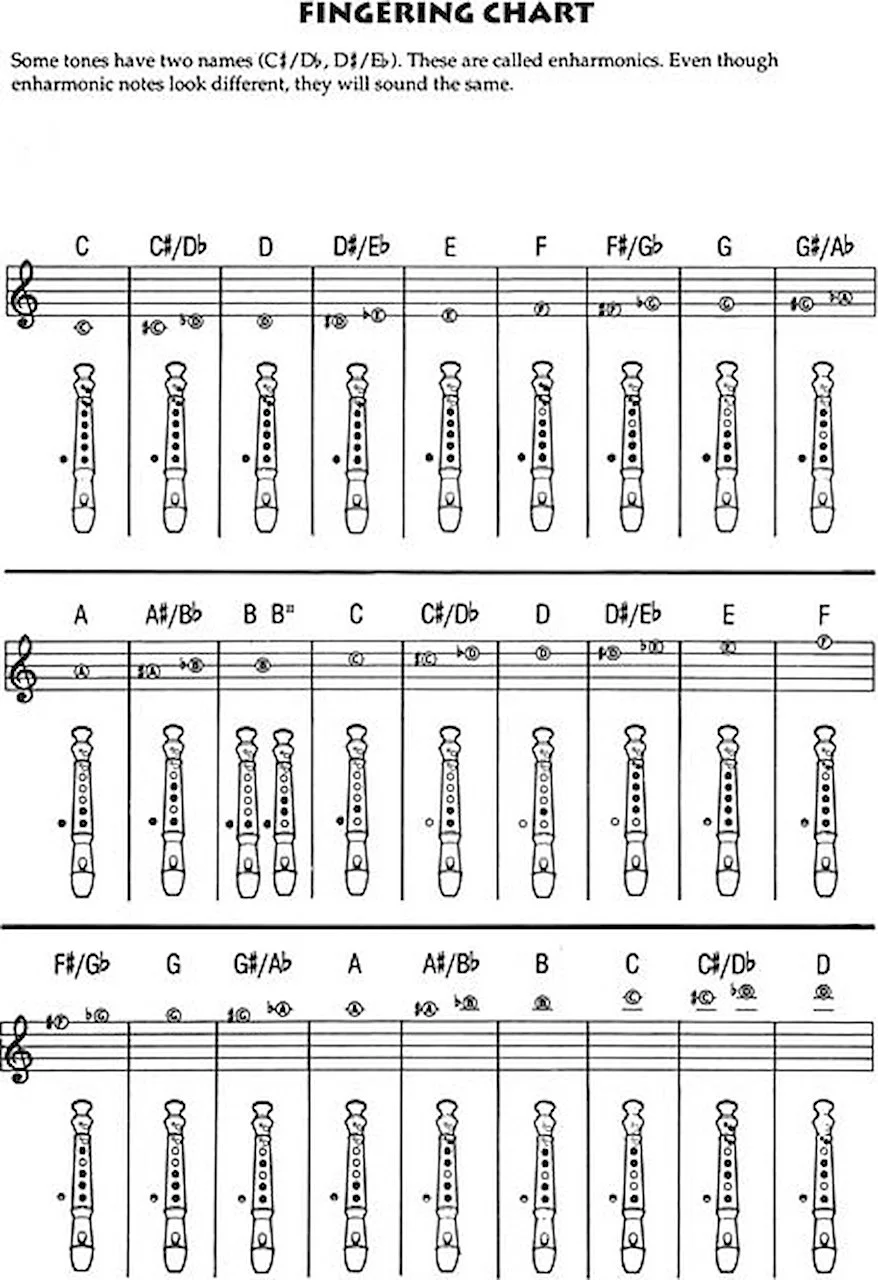 Disney Magic - Learn and Play Recorder Pack - 3 Songbooks + Recorder ...