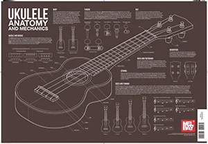 Ukulele Anatomy and Mechanics Wall Chart | Capital Music Gear